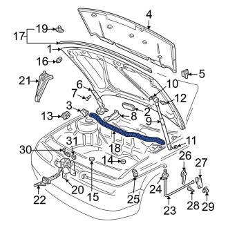 Volkswagen Jetta Hood Weatherstripping Seals — CARiD.com