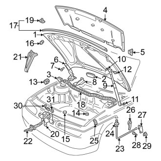 2004 Volkswagen Jetta Under Hood Insulations - Pads, Liners | CARiD