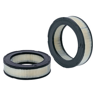 WIX® WA10647 - Air Filter