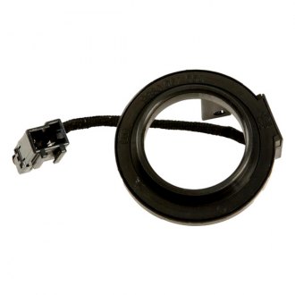 Ignition Immobilizer Modules - CARiD.com