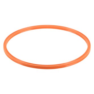 Fuel Pump Seals | CARiD