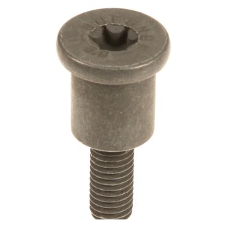 Engine Timing Chain Guide Bolts | CARiD