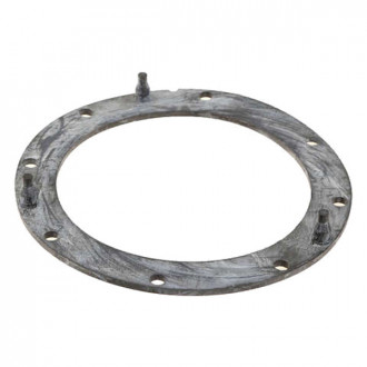 Fuel Pump Seals | CARiD