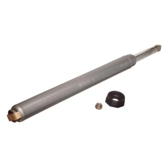 Suspension Strut Cartridges | CARiD