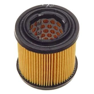 Secondary Air Injection Pump Filters | CARiD