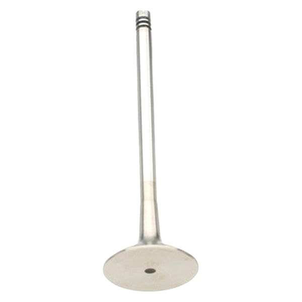 TRW® - BMW 5-Series 1992 Exhaust Valve