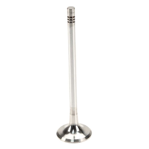 TRW® W0133-2014317-TRW - Exhaust Valve
